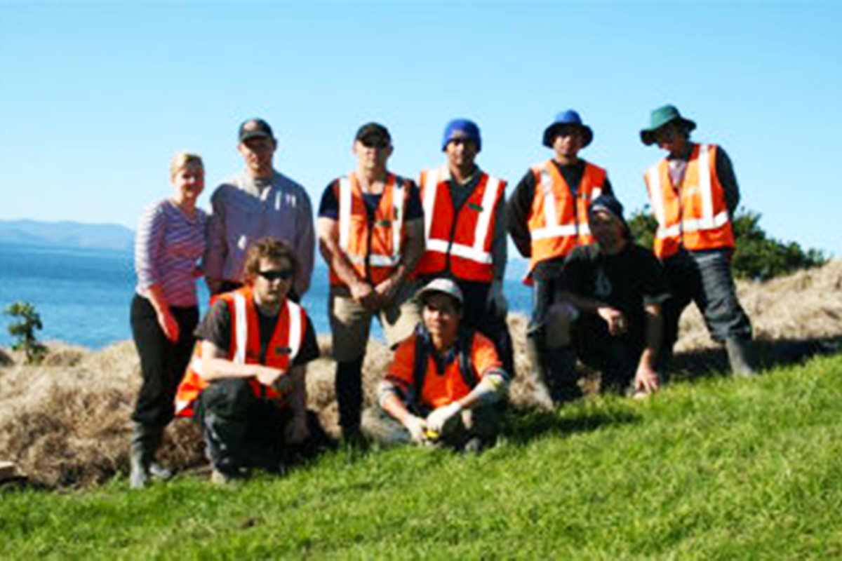 Gallery | Native Solutions | Canterbury | Forestry | Planting
