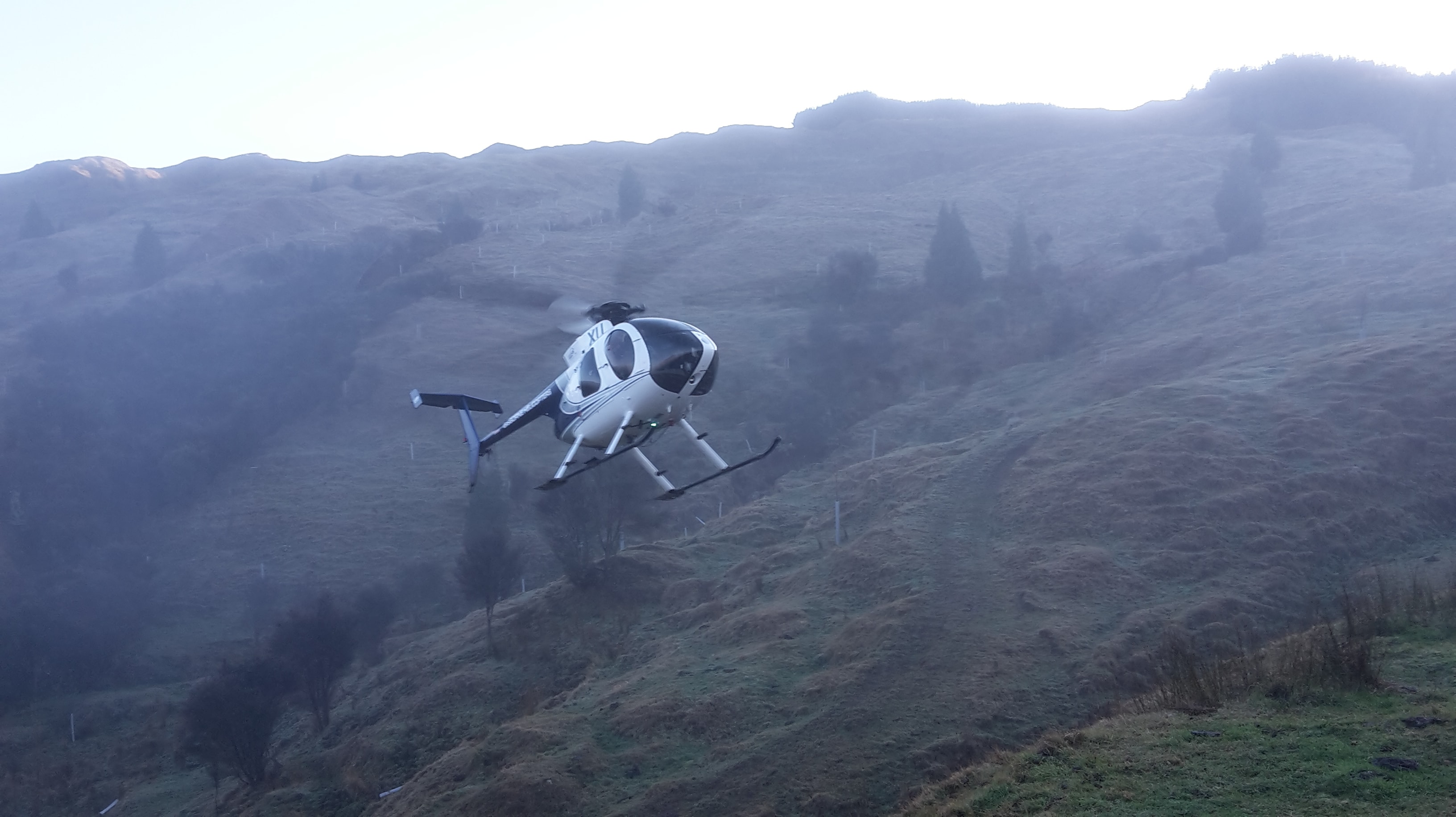 Gallery | Native Solutions | Canterbury | Forestry | Planting