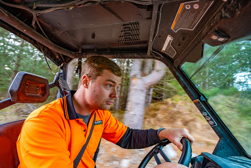 Gallery | Native Solutions | Canterbury | Forestry | Planting